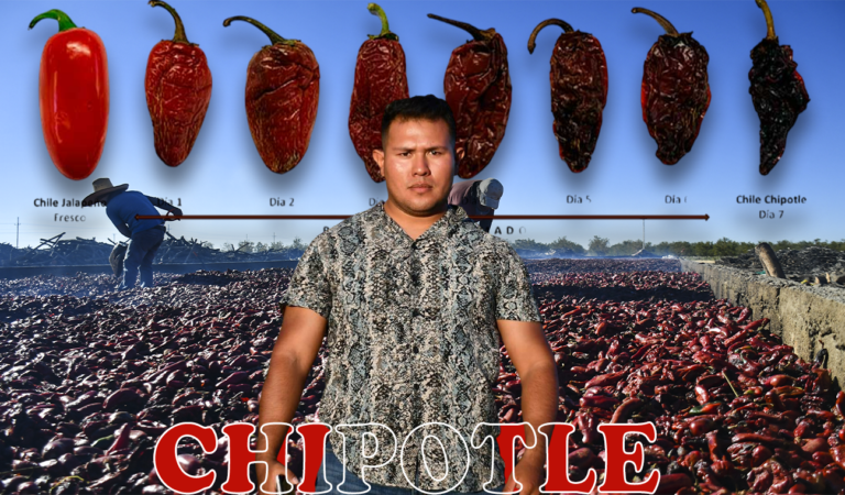 El Alma Ahumada de la Gastronomía Mexicana: El Chile Chipotle ...