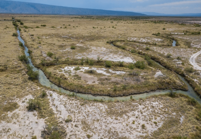 Granjeno en Declive: Un Tesoro del Desierto que se Apaga en Jiménez ...